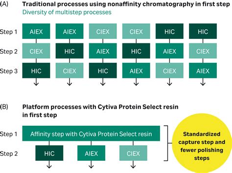 Cytiva Protein Select Resin A New Affinity Resin For Recombinant