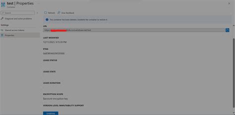 I Am Getting An Error While Using Azure Stprage Blob Sdk While Undeleting A Container Which Is