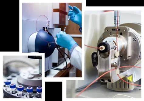 LC MS Lab LC MS Assay LC MS Services NorthEast BioLab