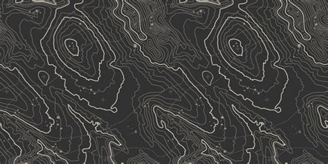 Seamless Pattern Topographic Map Background Vector Image