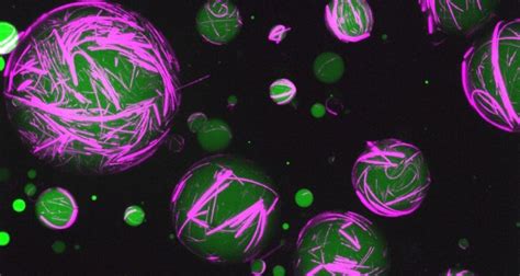 Scientists Create Artificial Cells That Act Like Living Cells