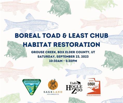Western Boreal Toad Project — Sageland Collaborative