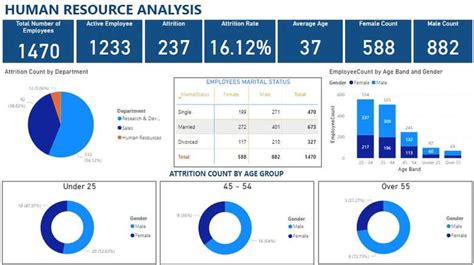 Human Resources Analytics With Excel And Power Bi Freelancer