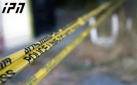 სიღნაღის მუნიციპალიტეტში უბედურ შემთხვევას 70 წლამდე მამაკაცი ემსხვერპლა კვირის პალიტრა