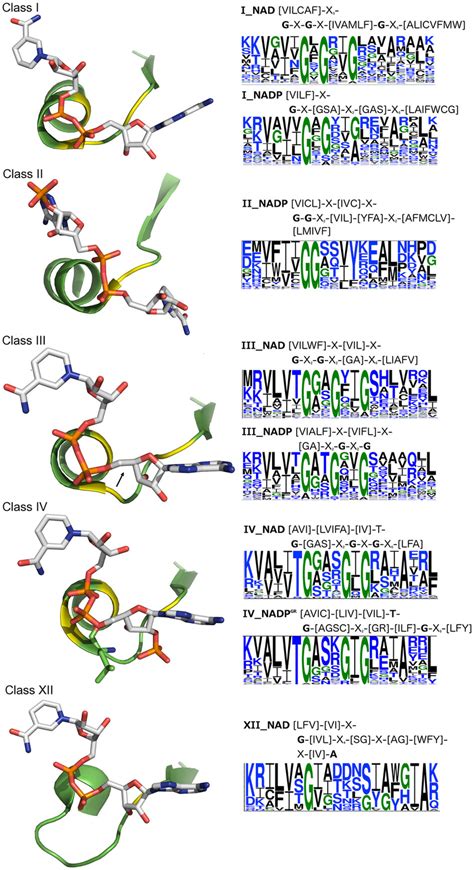 Derivation Of 1d Motifs From Distinct 3d Motifs Left The Distinct Download Scientific