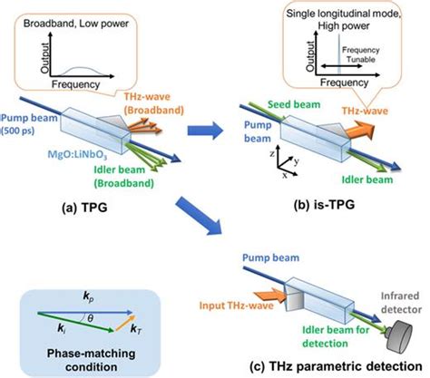 Perspective Terahertz Wave Parametric Generator And Its Applications