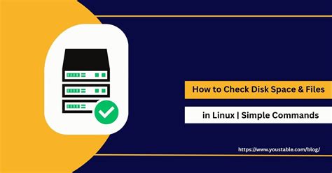 How To Check Disk Space And Files In Linux Simple Commands