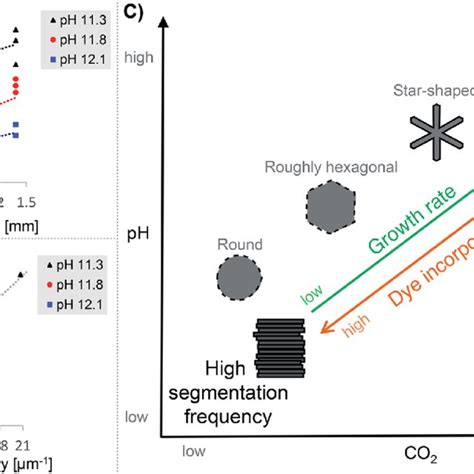 Effect Of Different Parameters On The Spatial Segmentation Frequency