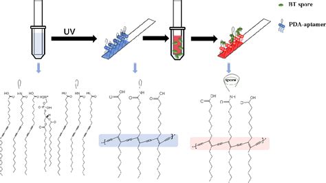 Figure 1 From Aptamer Conjugated Polydiacetylene Colorimetric Paper Chip For The Detection Of