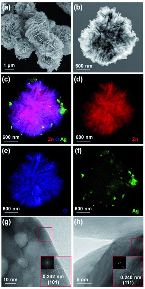 A Sem B Tem Cf Edx Mapping G And H Hr Tem Images Of Download Scientific Diagram