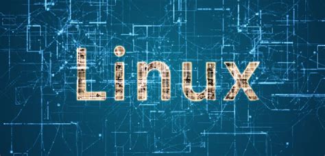 Linux To Support Wallet Development Through Openwallet Foundation Crypto Daily