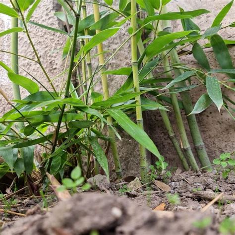 NATURE에 있는 Katarina님의 핀