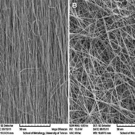Sem Micrograph Of Nanofiber A Aligned Nanofibrous Pcl Scaffold B Download Scientific