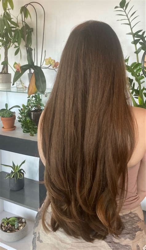 Long Brown Brunette Hair Brown Wavy Hair Waist Length Hair Long Brunette Hair