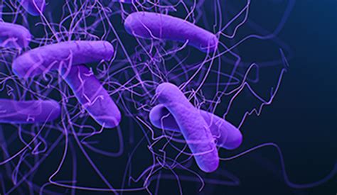 Clostridioides Difficile C Diff Texas DSHS