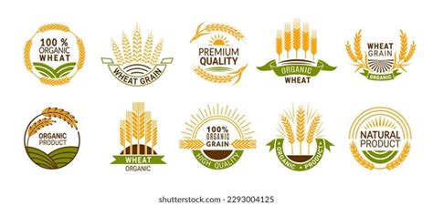 16217 Spike Wheat Icon Stock Vectors And Vector Art Shutterstock