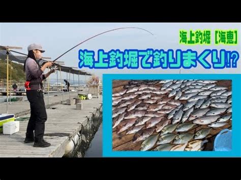 海上釣堀海恵でイケスを貸し切って真鯛やサーモン釣りまくり YouTube