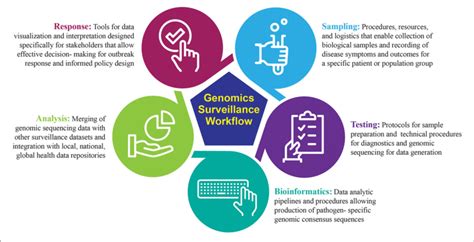 Overview Of End To End Genomics Based Surveillance Workflow Download Scientific Diagram