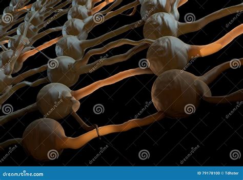 Artifical Neural Net Neuron Network With Connection Links 3d