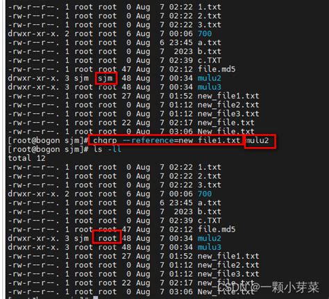 linux系统 修改文件 目录的权限、拥有者信息 linux修改文件拥有者 csdn博客