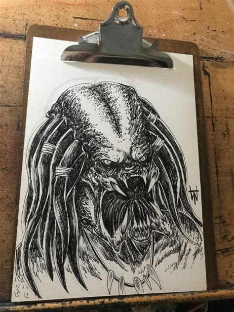 Predator Drawing