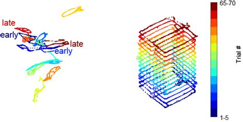 🧠 🔐 2 Trial Decoding 🧠🏷️ Selection Of Experience For Memory By Hippocampal Sharp Wave Ripples