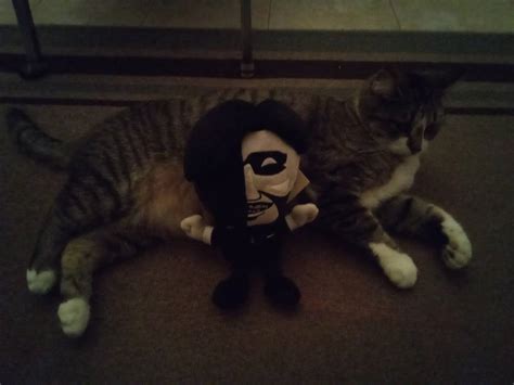 Oh Mah Gawd I Got Dat Cesar Plushie By Calamityanddingus On Deviantart