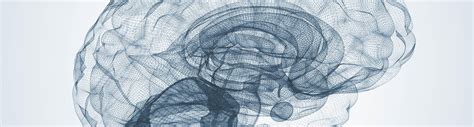 Diffuse Astrocytoma Grade Ii Ucsf Brain Tumor Center