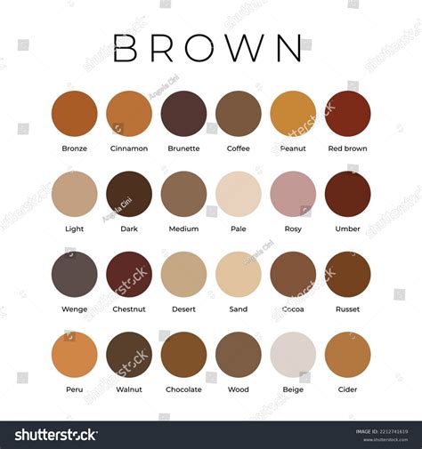 Brown Color Shades Swatches Palette Names เวกเตอร์สต็อก ปลอดค่า