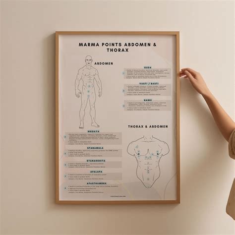 Ayurveda Marma Points Chart Abdomen And Thorax Digital Download Etsy