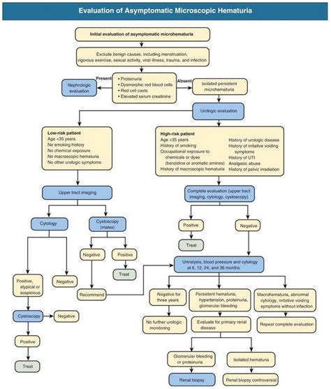 Evaluation Of Asymptomatic Microhematuria