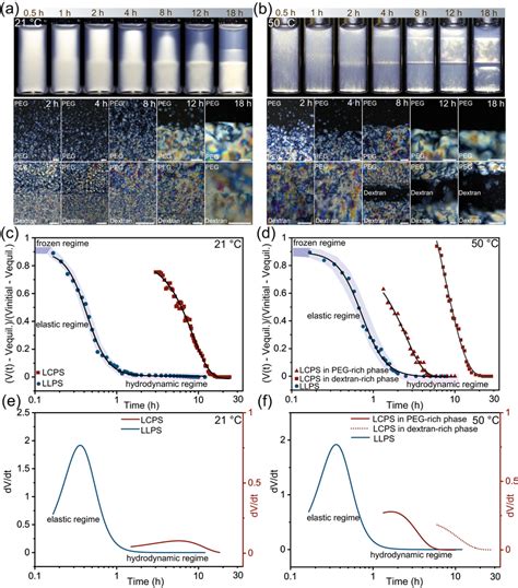 Time Evolution Of The Multiphase Separation Of A Cnc Peg Dextran Download Scientific Diagram