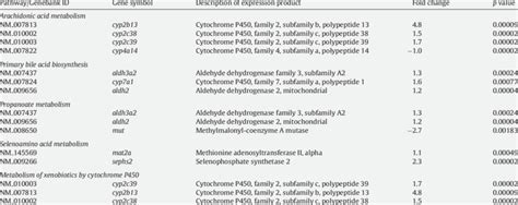 Differentially Expressed Genes Involved In Metabolism Pathways Download Table