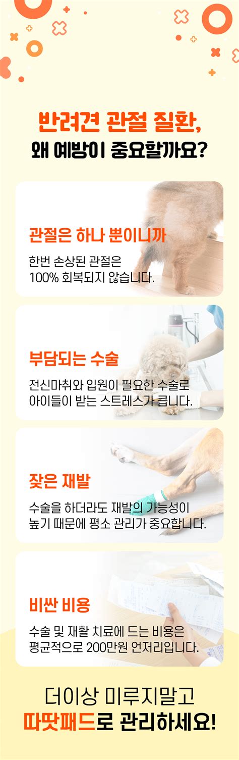 시리어스펫 슬개골 따땃패드 주식회사 파이헬스케어