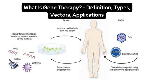 Mrna Structure Definition Functions Types Biology Notes Online