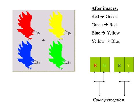Ppt Binding Problems And Feature Integration Theory Powerpoint