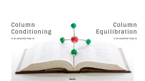 Column Conditioning And Equilibration Process