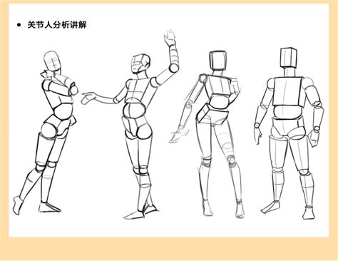 人体结构系统教程，全面掌握人体结构，夯实绘画基础 视频教程 平面设计学习日记网 酷coo豆