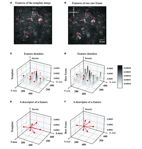 A Visualization Of The Process To Generate The Descriptor A The