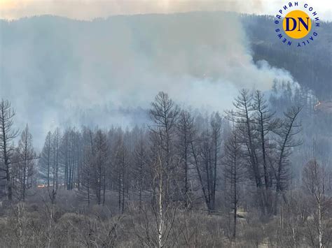 Хөвсгөл аймагт гарсан ой хээрийн түймрийг унтраахаар ажиллаж байна