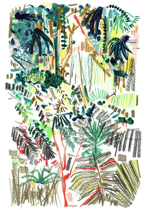 Nature Hannah Pointer Illustration