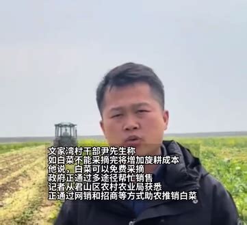 免费采摘湖南一村干部喊话全国网友来抢菜 中华网