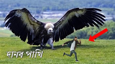 পৃথিবীর সব থেকে বড় ১০টি পাখি Top 10 Largest Living Birds In The