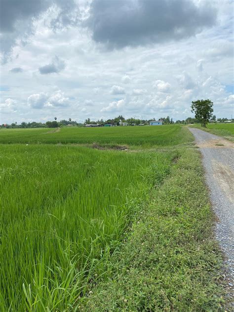 ที่ดินเพื่อการเกษตร กำแพงแสน ที่ดินร้อยแปด คอม