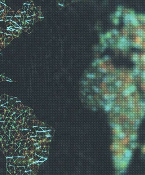 What Is Advanced Encryption Standard Aes Panda Security