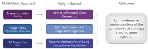 Getting Started Guide Single Cell 3d Genomics Arima Genomics
