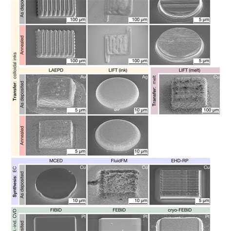 Microstructure Of Printed Pads Representative Cross Section Download Scientific Diagram
