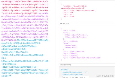 16 Spring Security中的jose类库码农小胖哥的技术博客51cto博客