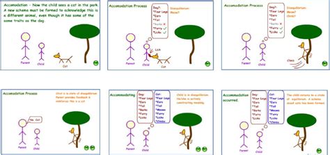 Stages Of Cognitive Development Educational Learning Theories