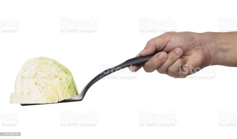 양배추는 터너 녹색 신선한 야채 양배추 컷 반 쿼터 헤드에 넣어 양배추의 잎을 먹은 유기농 신선한 야채가 떨어지고 질감을 닫습니다 흰색 배경 격리된 정지 동작 0명에 대한